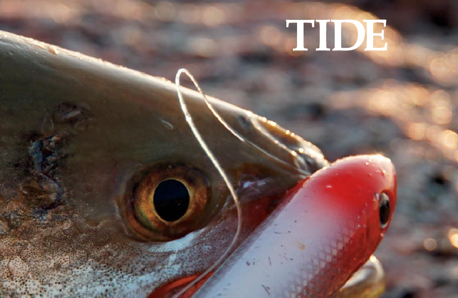 TIDE Magazine – Coastal Conservation Association