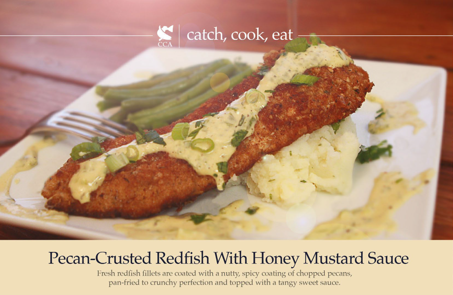 Catch, Cook, Eat - Recipes!