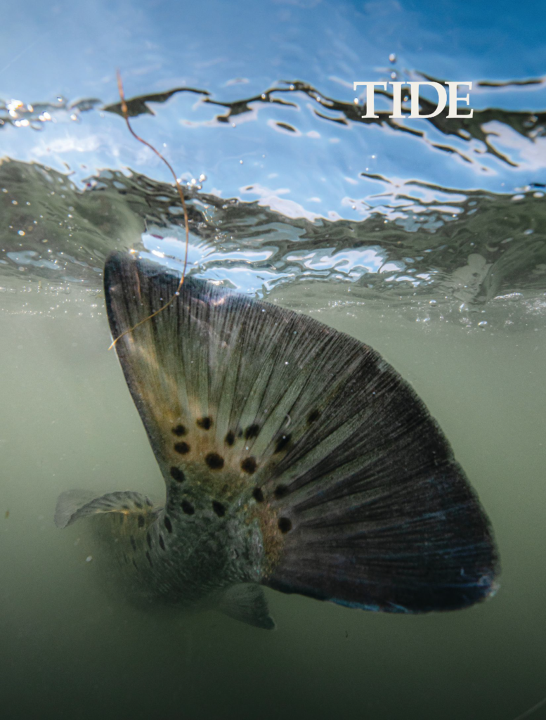 TIDE Magazine - Join CCA