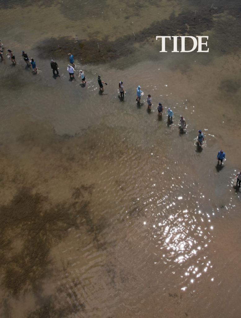 TIDE Magazine - Join CCA