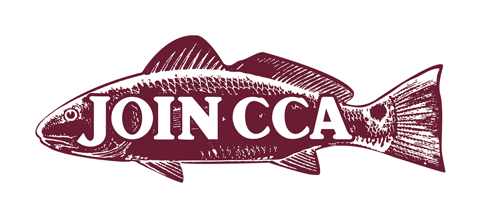 Join CCA Gameday Decals