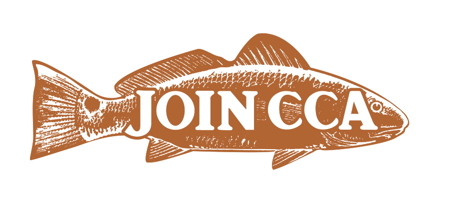 Join CCA Gameday Decals